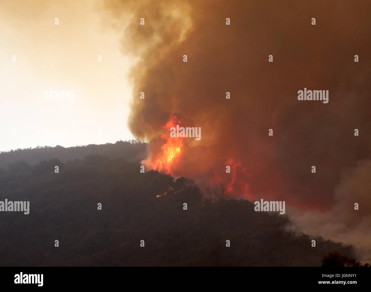 Daniel dreifuss hi-res stock photography and images - Alamy