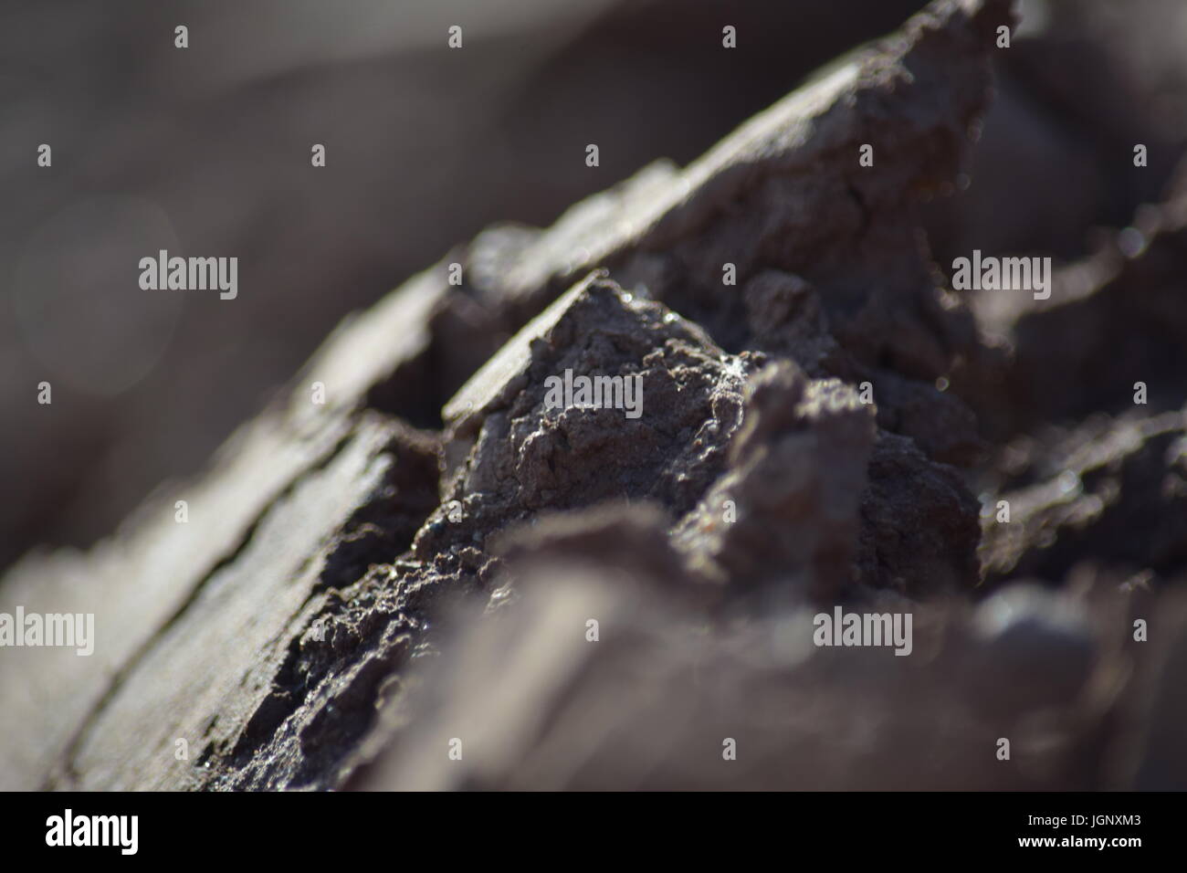 Turned earth in a field Stock Photo - Alamy