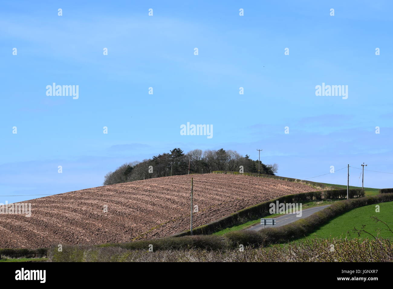 Field on a hill Stock Photo - Alamy