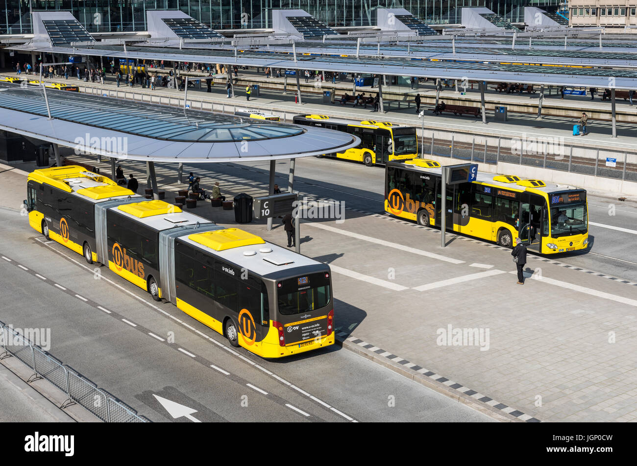 Utrecht, The Netherlands - March 23, 2017: Bus station with yellow ...