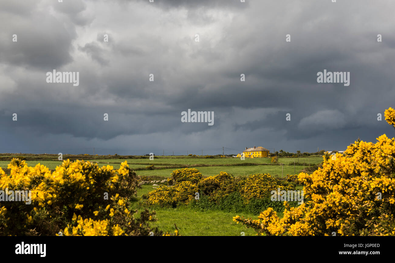 Cornwall, England - April 26, 2017: Cornish landscape at Gurnard's Head ...