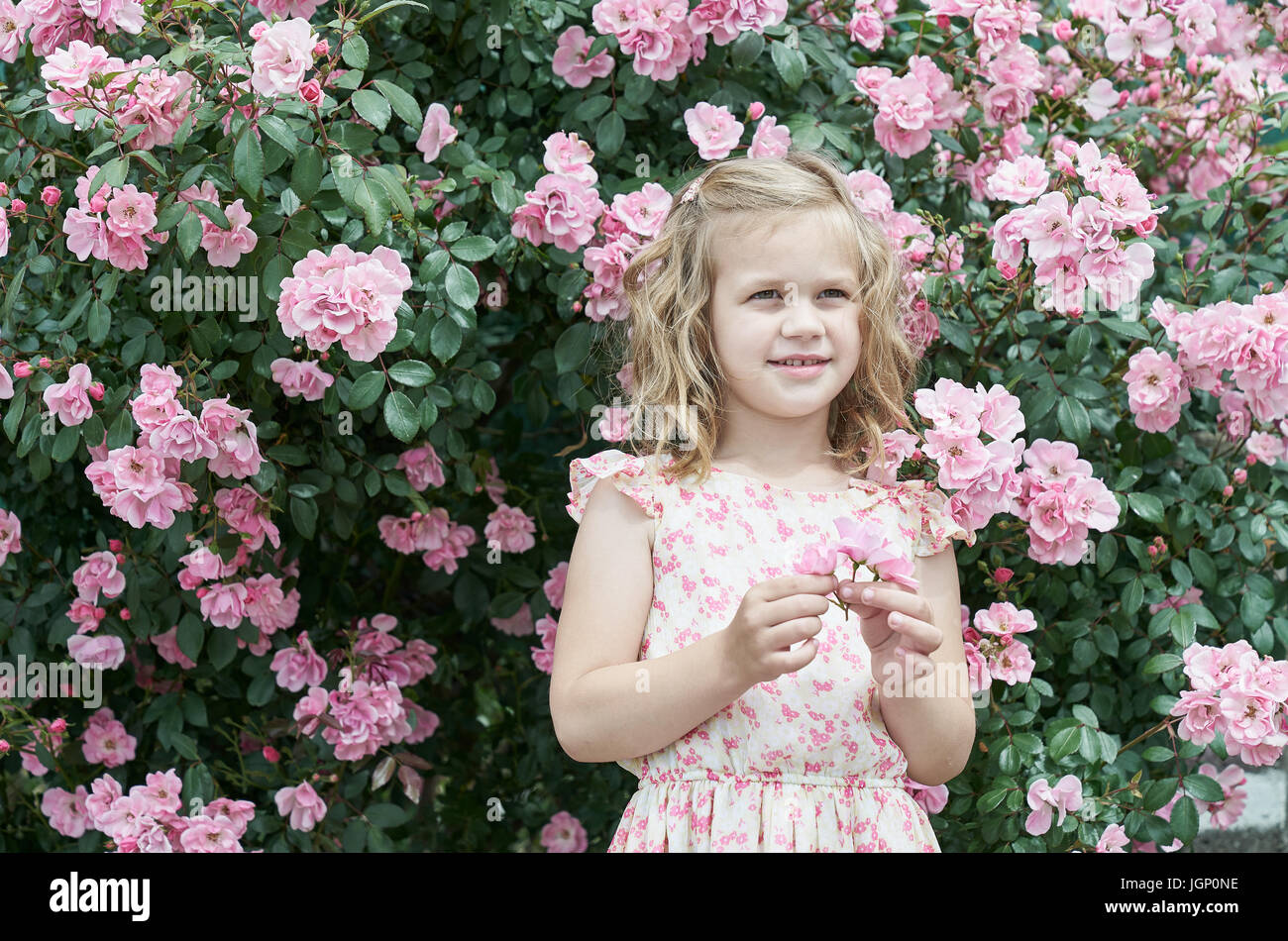 Girl in pink dress with roses Stock Photo - Alamy