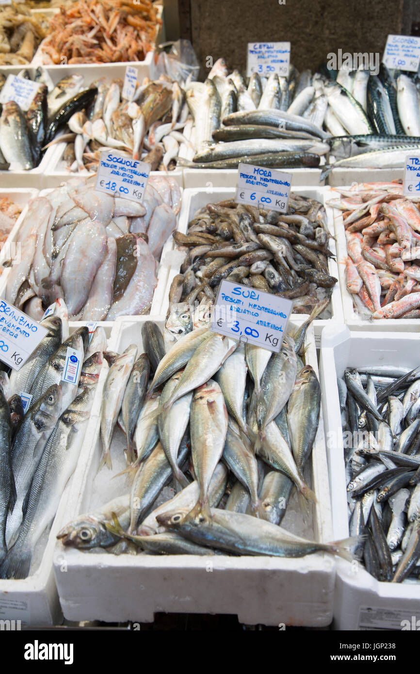 Bologna fish stall hi-res stock photography and images - Alamy