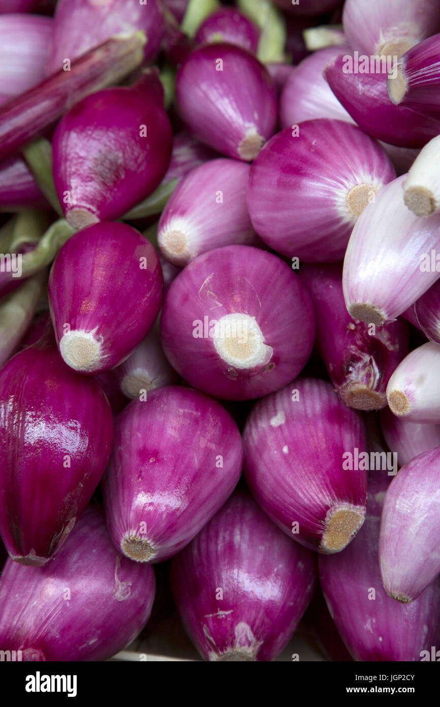 Purple Onion Background on Market Stall Stock Photo - Alamy