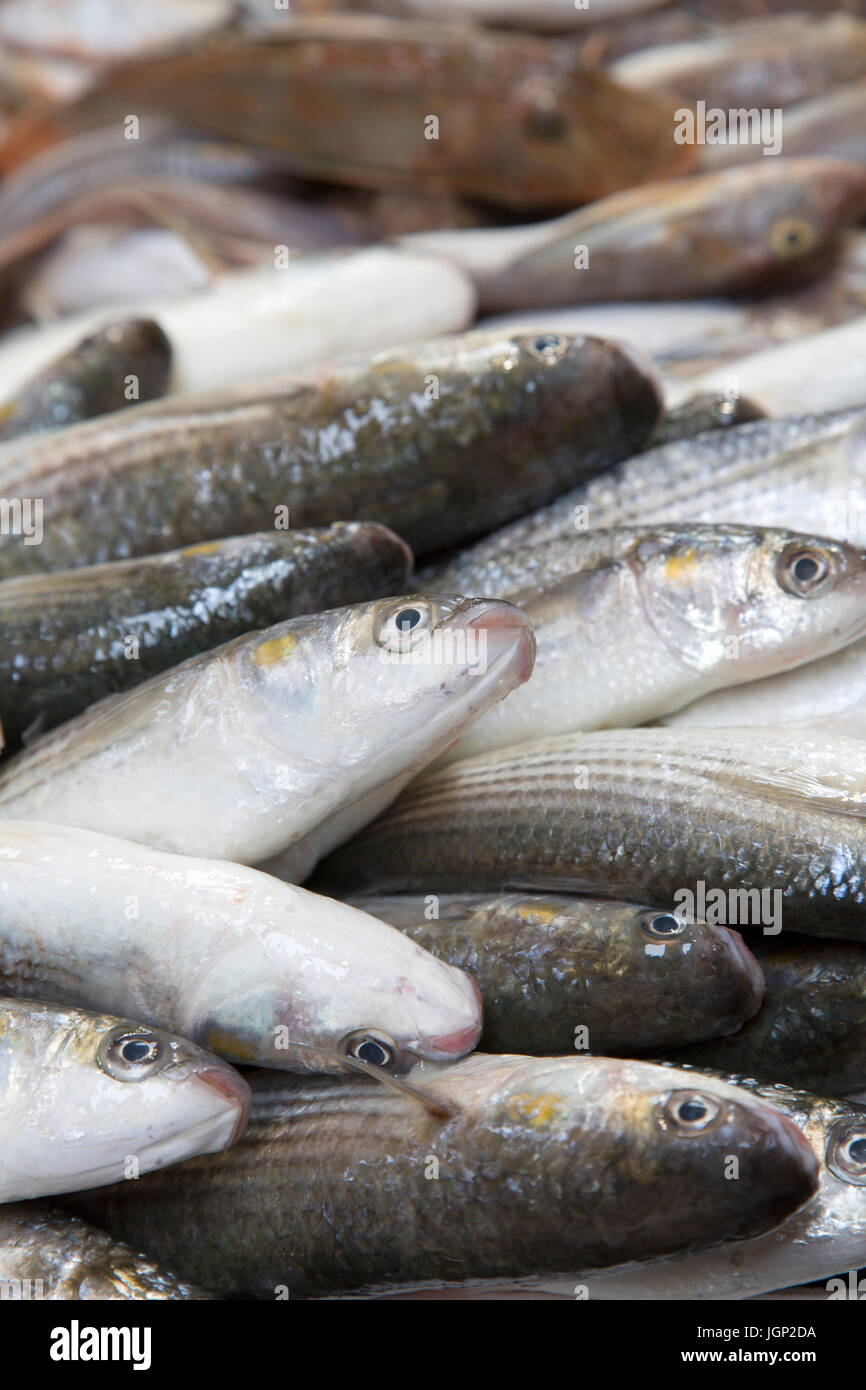 Fish Background on Market Stall Stock Photo - Alamy