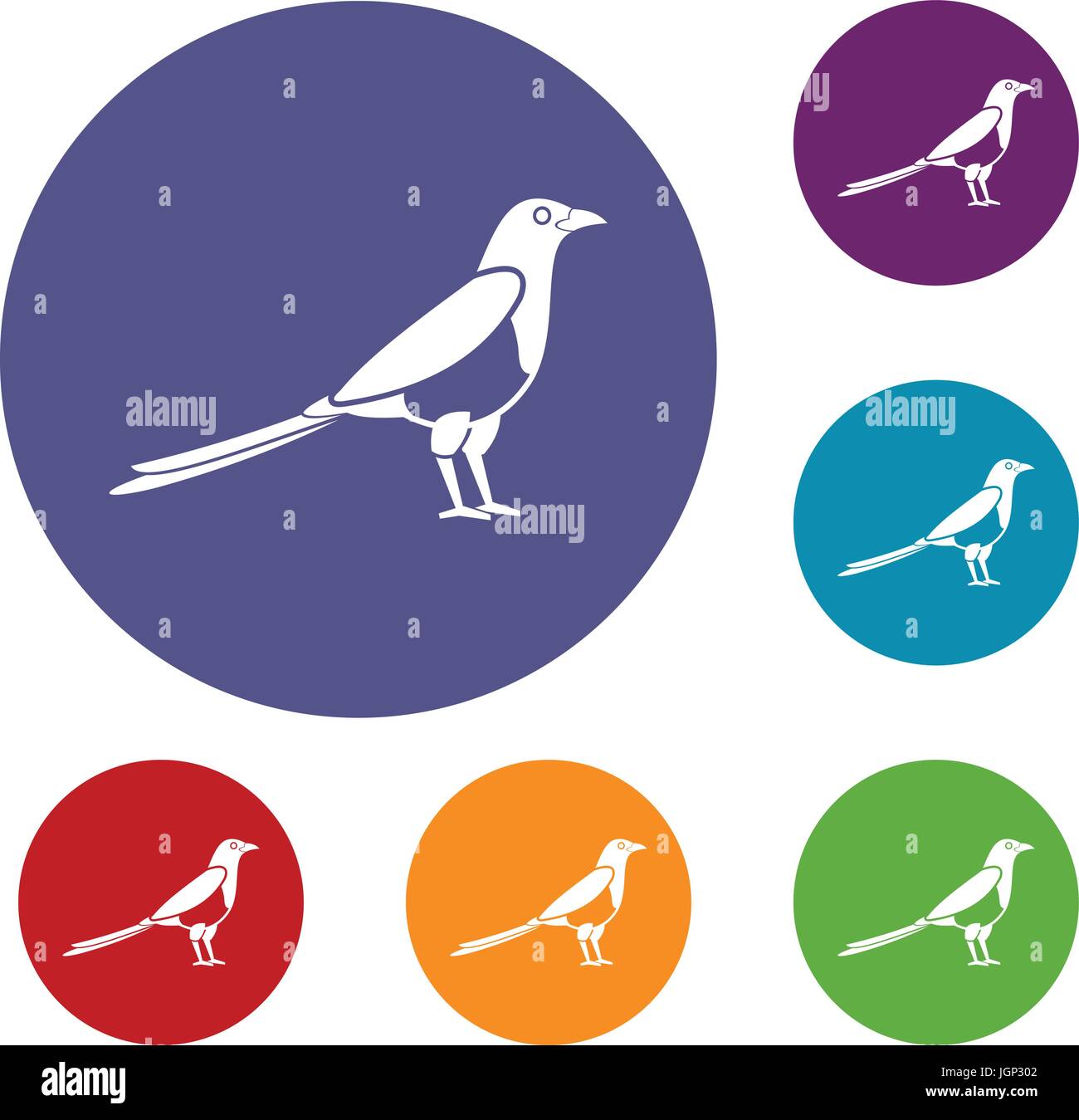 Bird magpie icons set Stock Vector Image & Art - Alamy