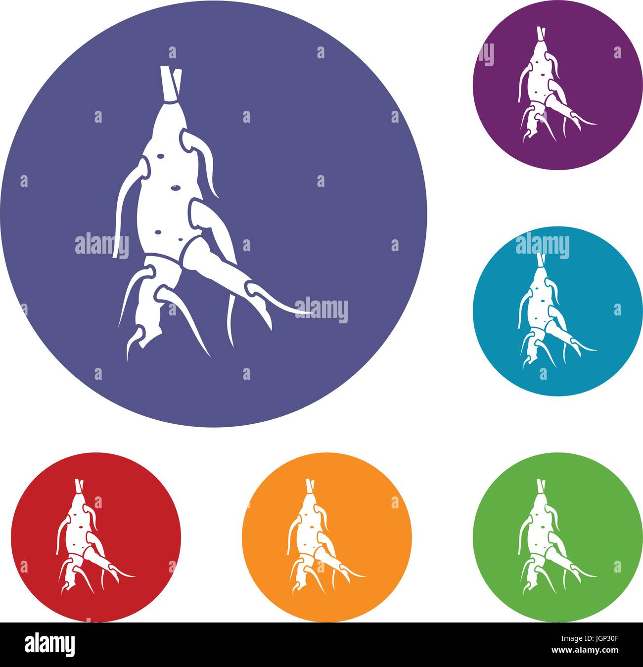 Ginseng panax root icons set Stock Vector Image & Art - Alamy