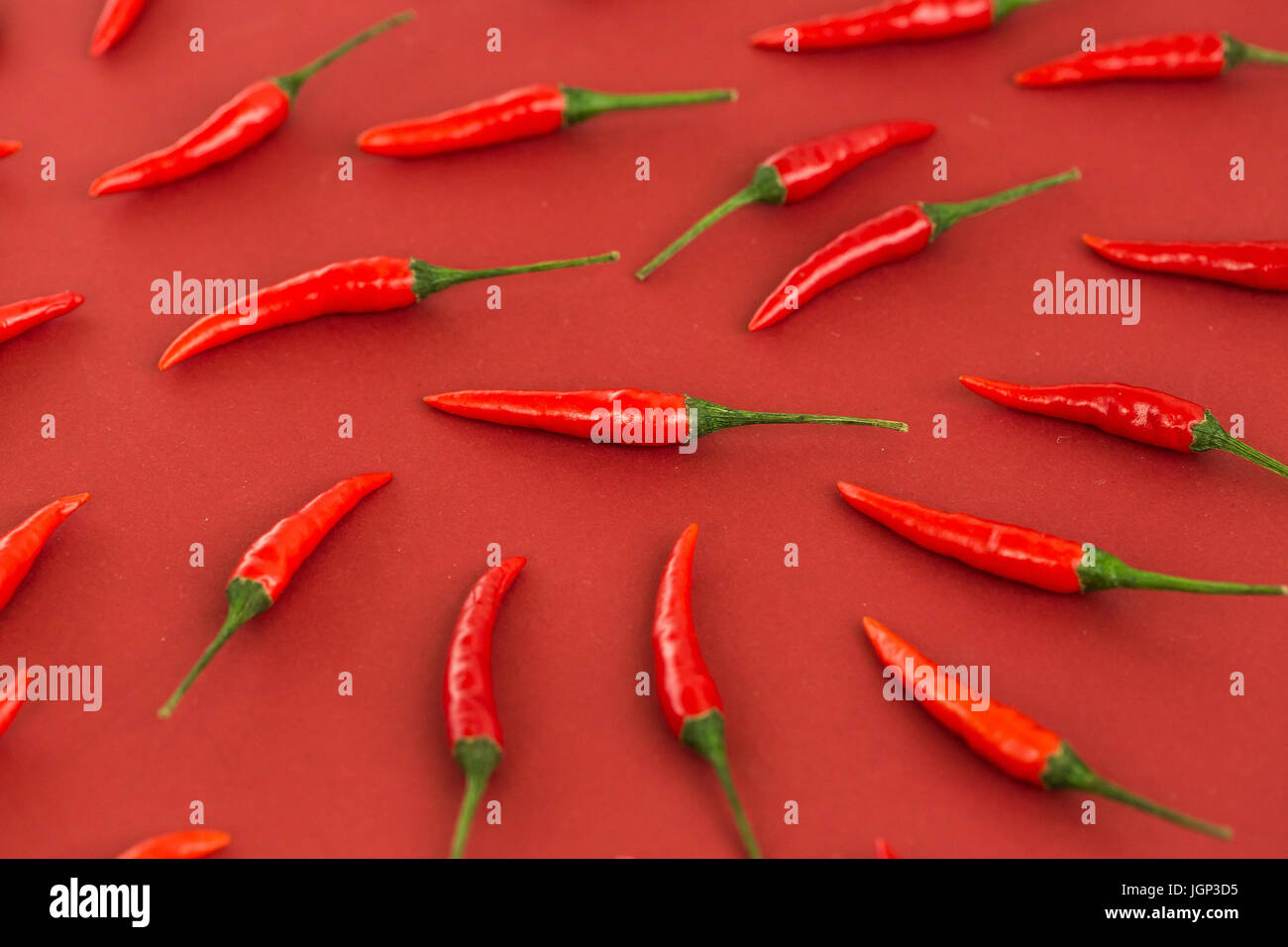 red hot chili peppers, popular spices concept - closeup on beautiful ...