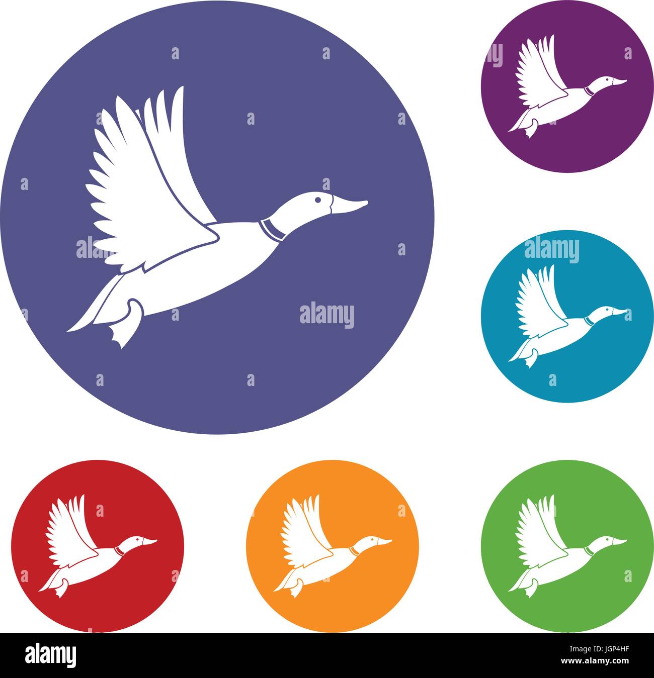 Duck icons set Stock Vector Image & Art - Alamy