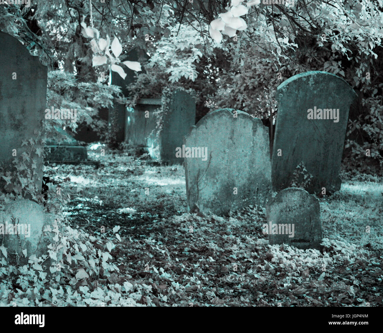 resting place in infrared Stock Photo - Alamy
