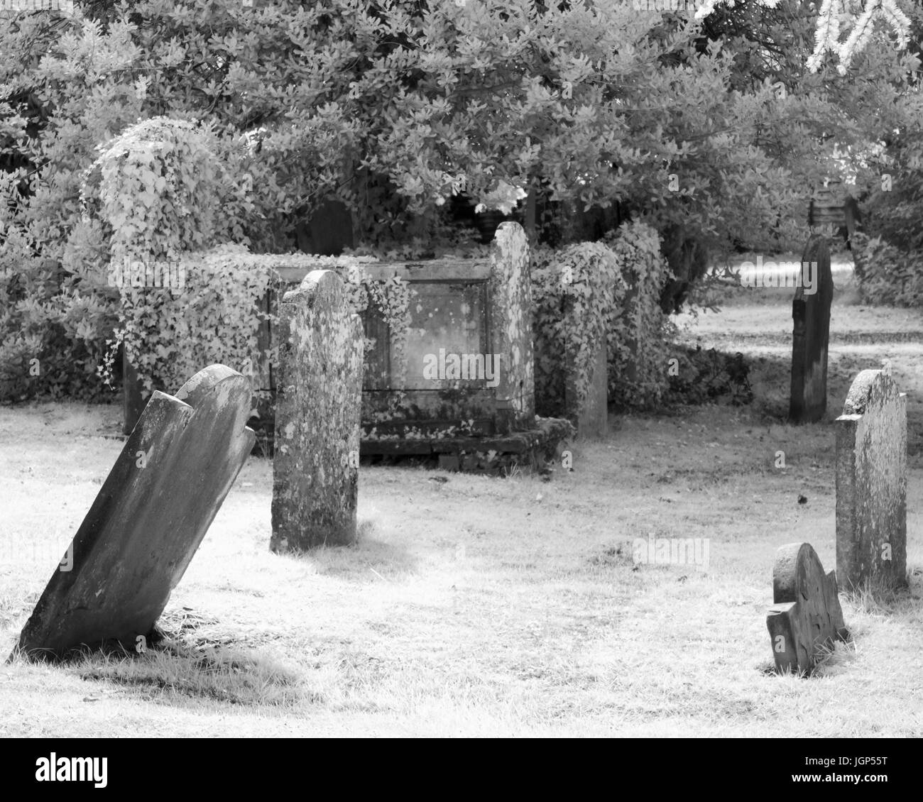resting place in infrared Stock Photo - Alamy