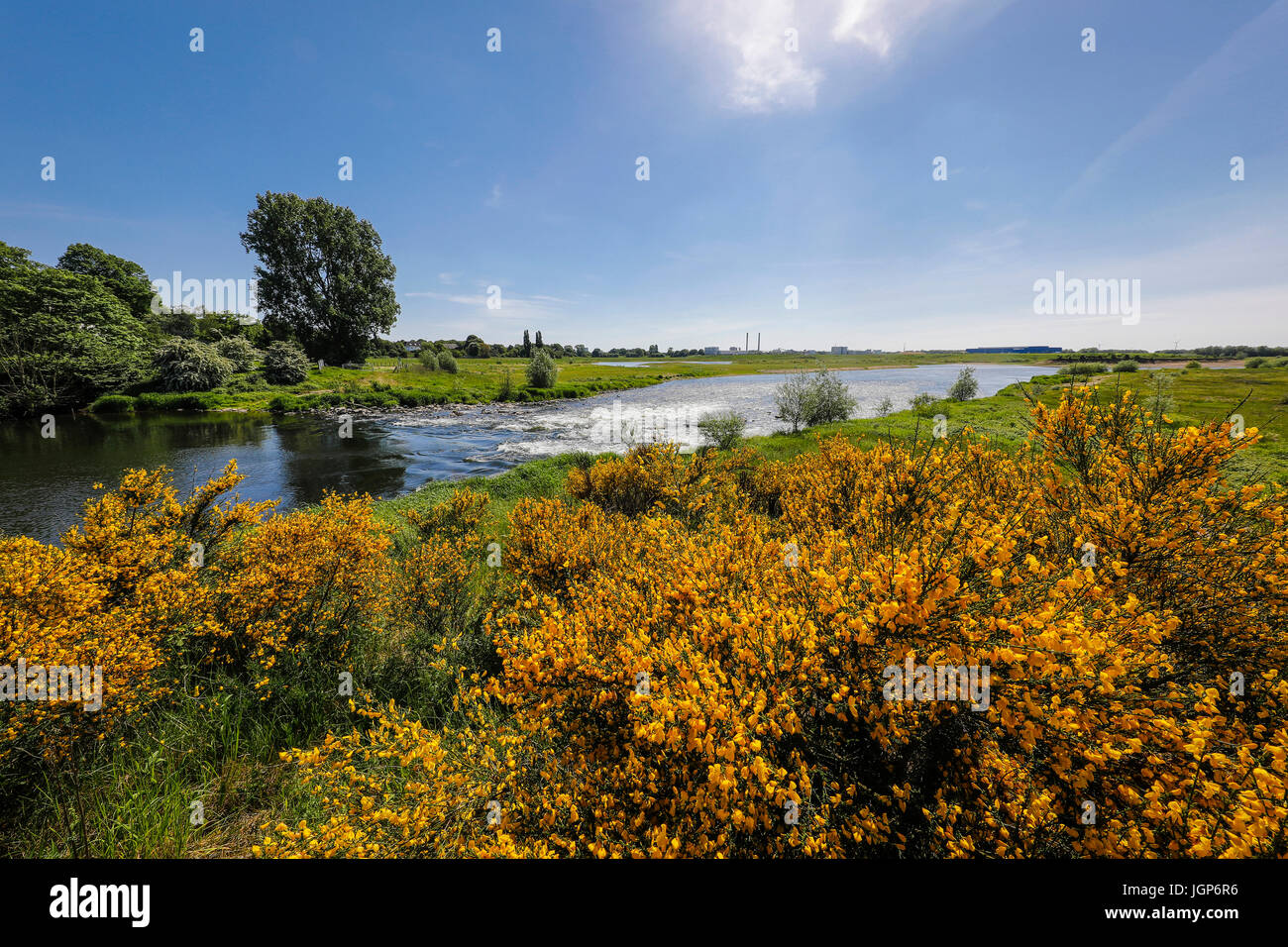 The yellow river wetland hi-res stock photography and images - Alamy