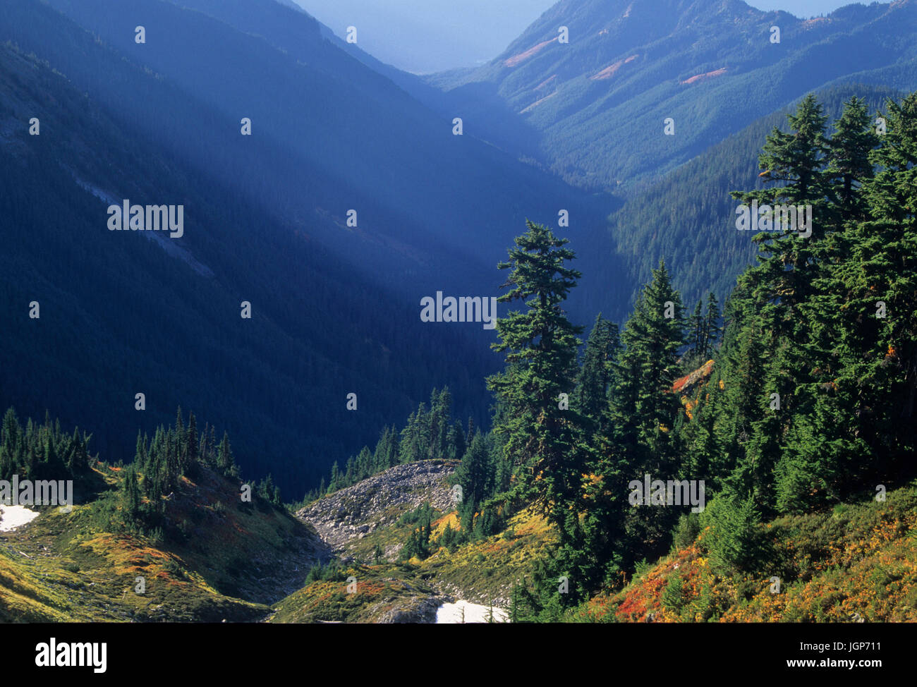 Saddle butler hi-res stock photography and images - Alamy