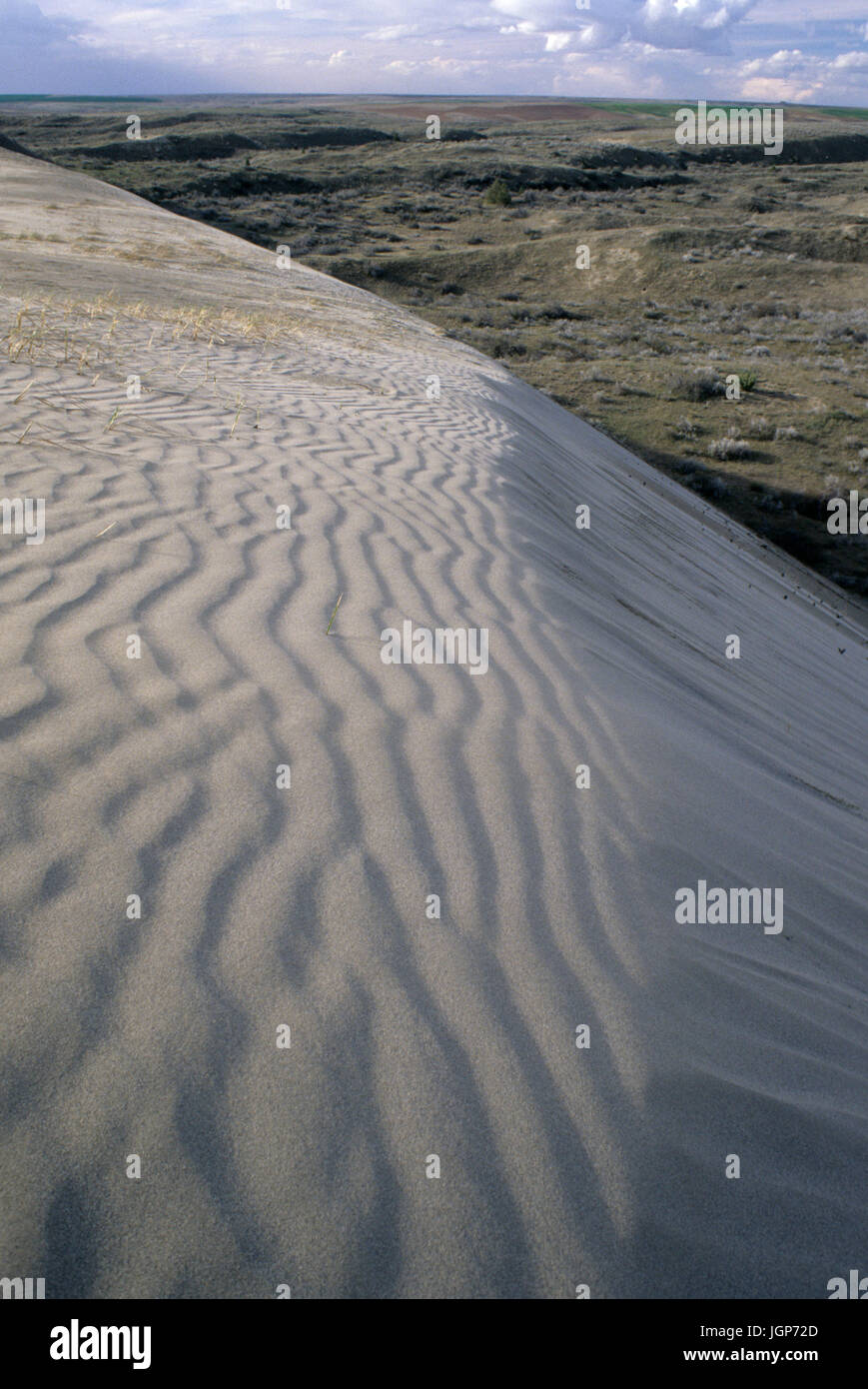 Juniper dunes wilderness hi-res stock photography and images - Alamy