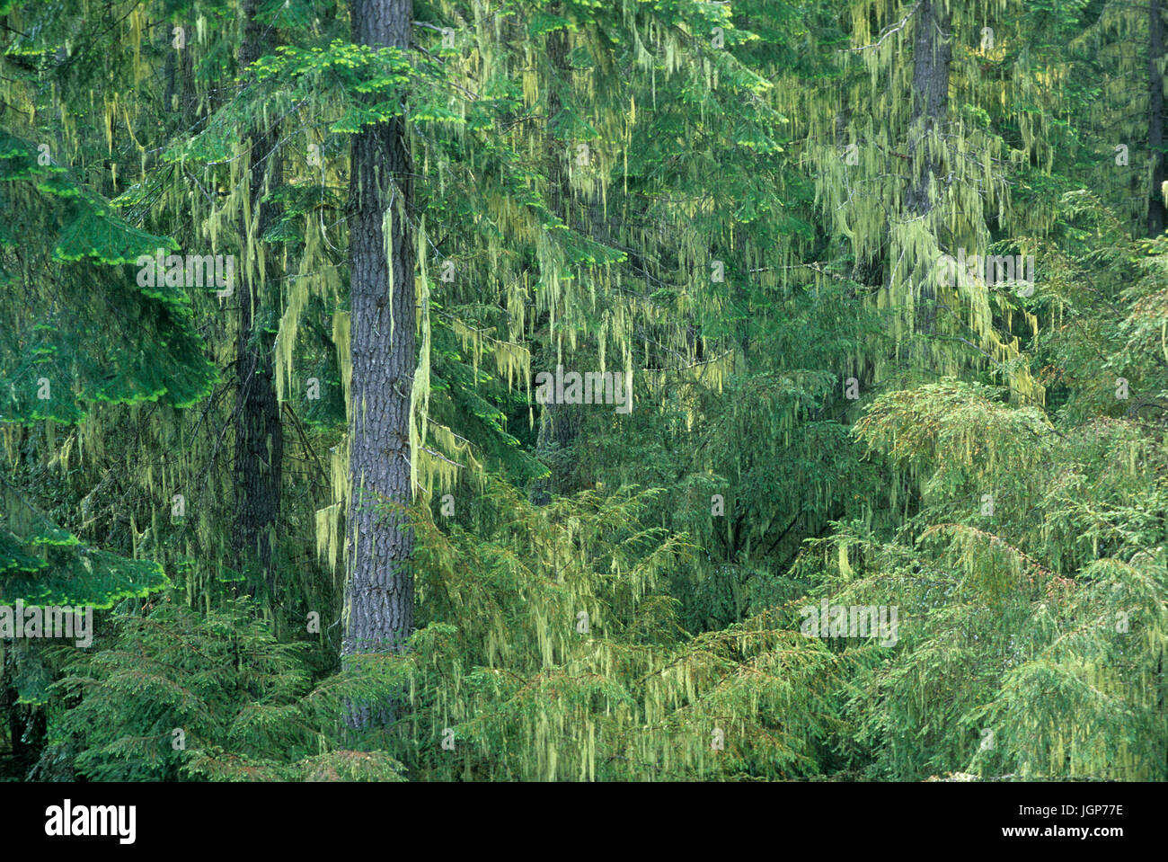 Tucannon river trail hi-res stock photography and images - Alamy