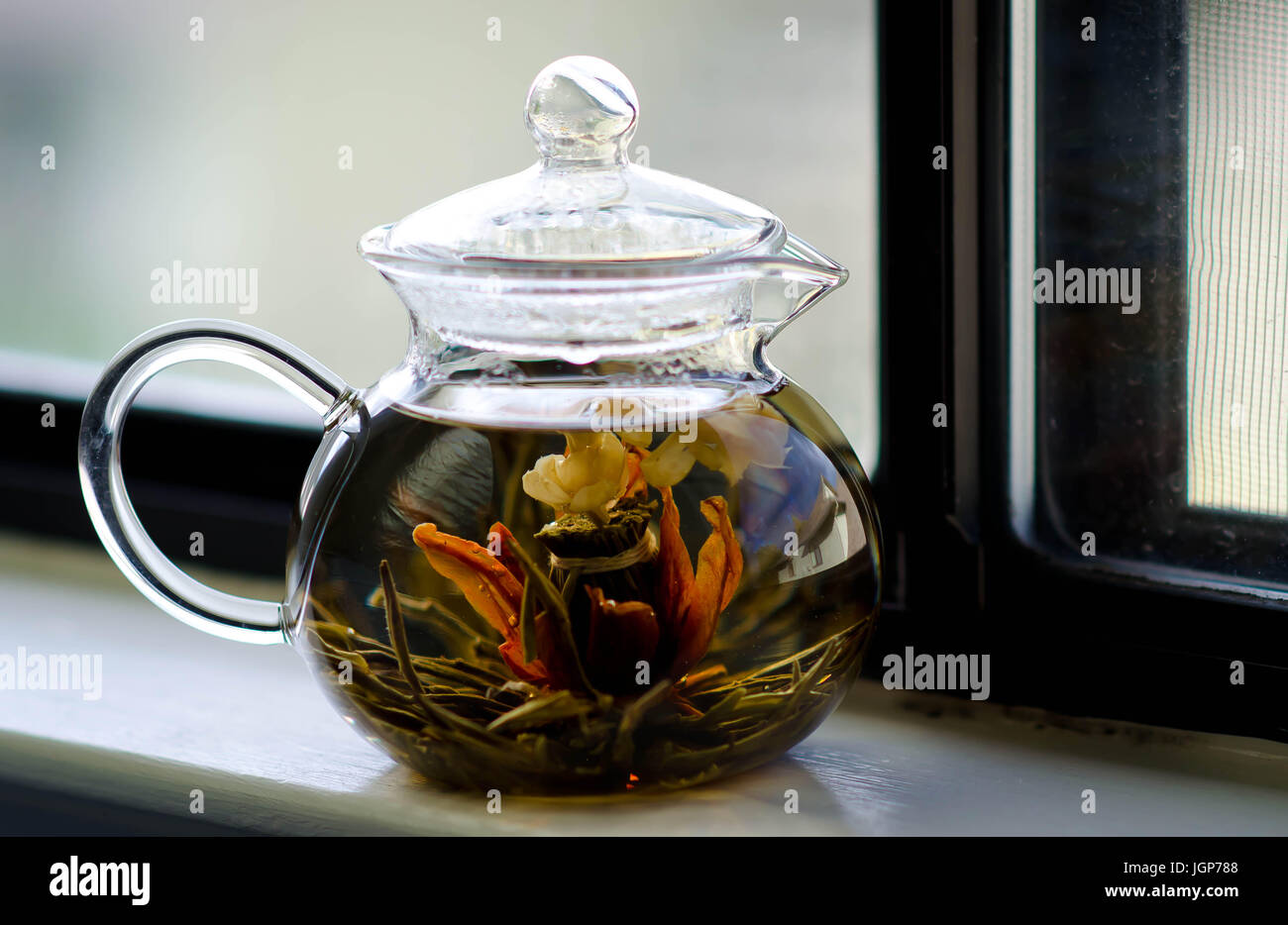 Glass teapot with blooming flower tea Stock Photo - Alamy