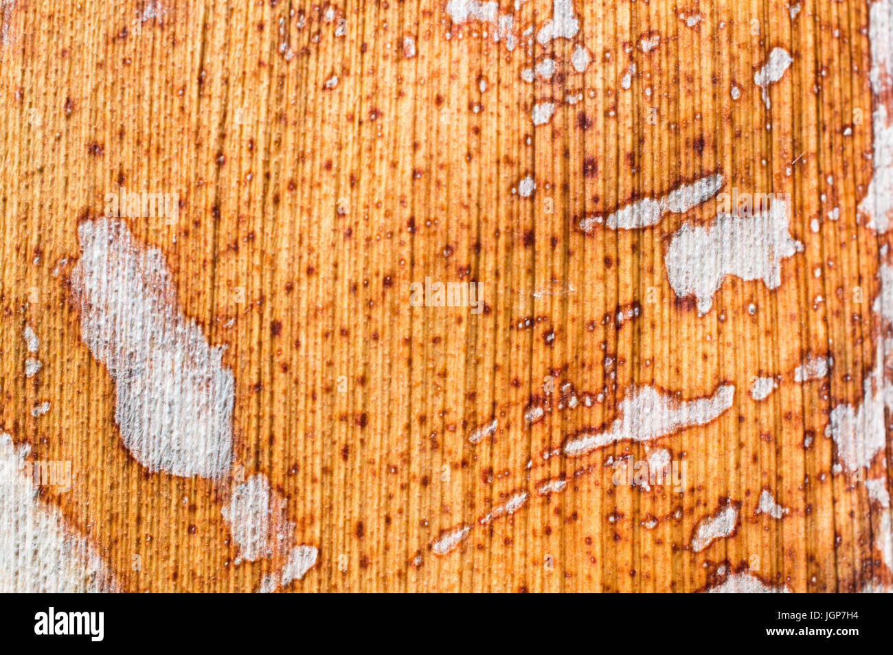 Tarnish metal texture hi-res stock photography and images - Alamy