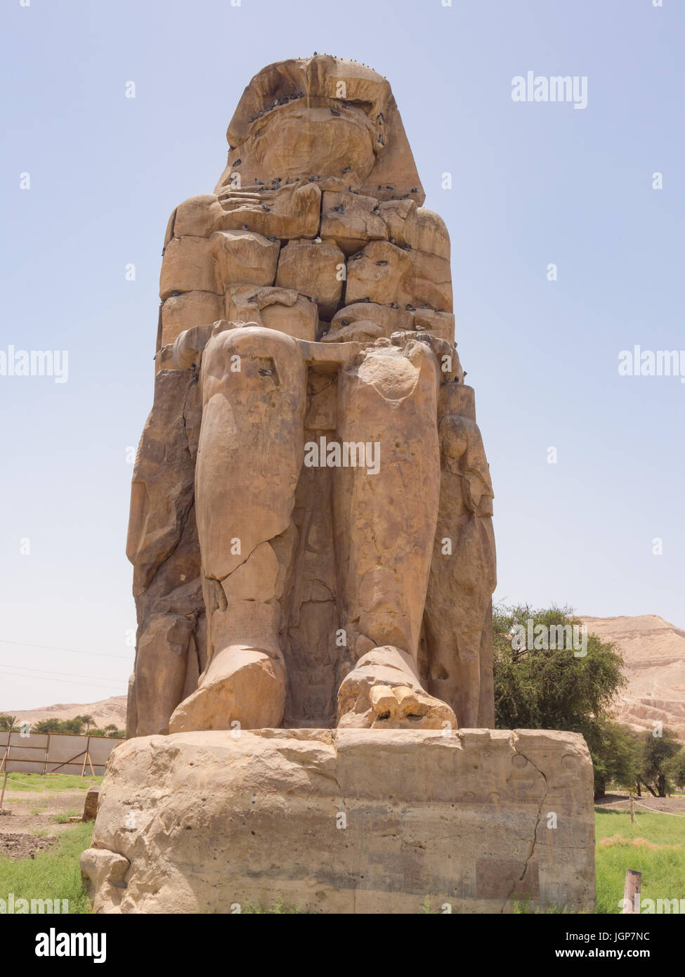 The colossi of memnon luxor egypt egyptian thebes hi-res stock ...