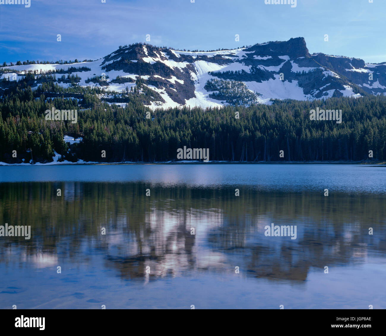 USA, Oregon, Deschutes National Forest, North slope of Tam McArthur Rim ...