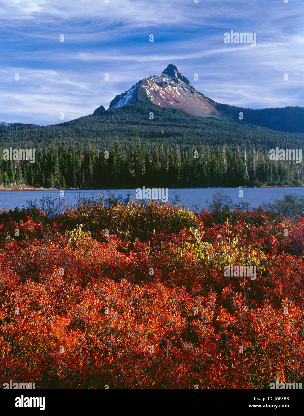 USA, Oregon, Willamette National Forest, Mount Washington rises beyond ...
