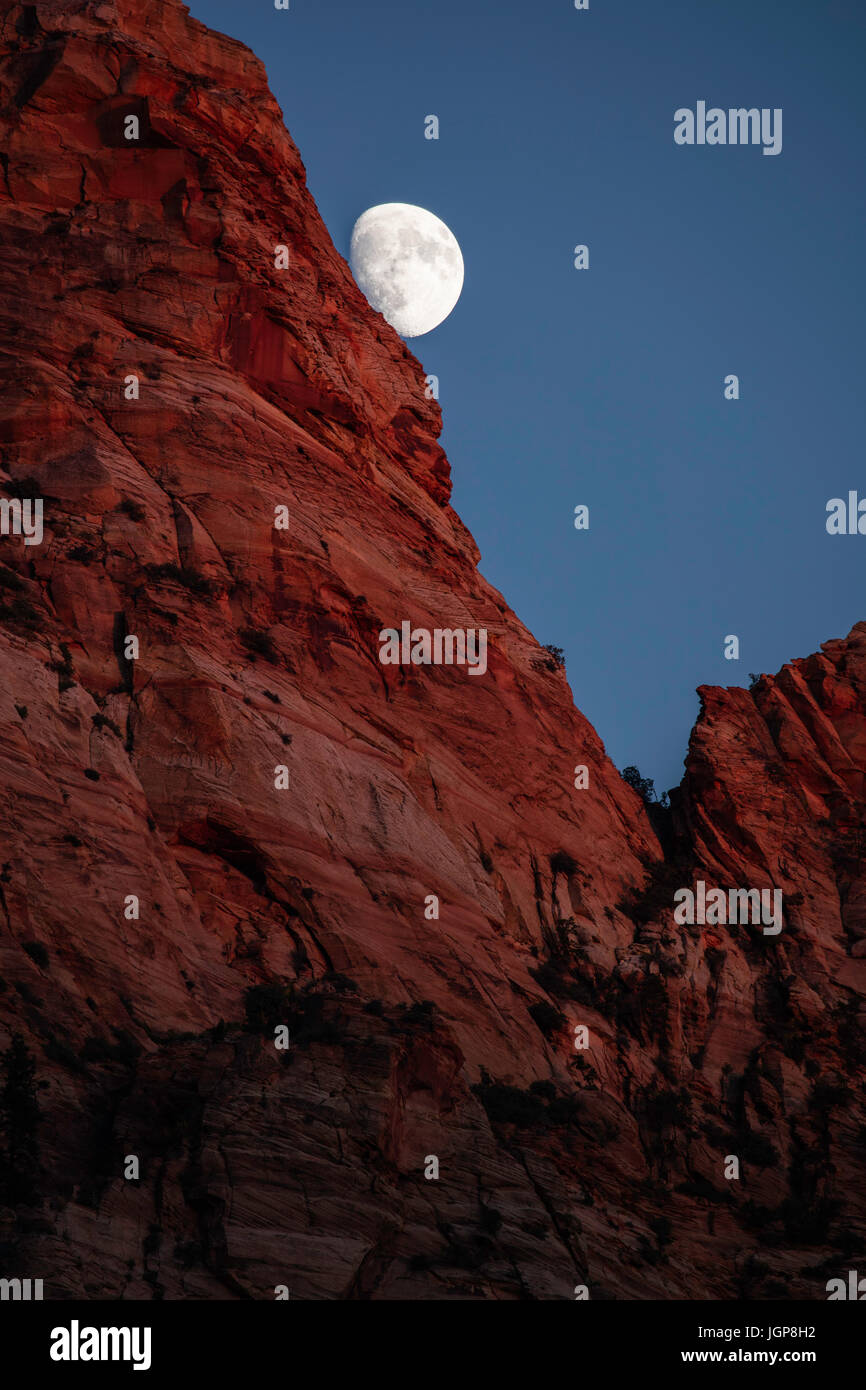 Moon Rising, Zion National Park, Utah Stock Photo - Alamy