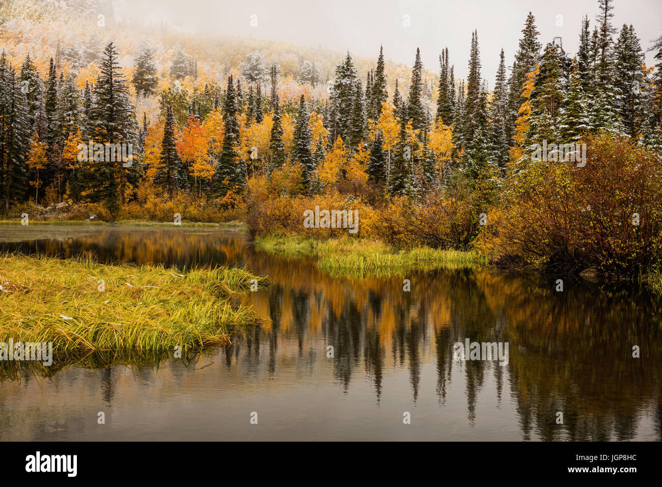 Silver Lake with fall foliage, Brighton, Big Cottonwood Canyon, Wasatch ...