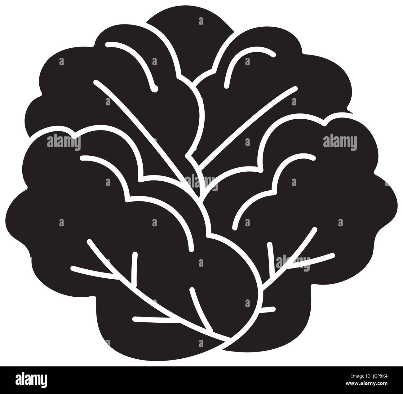 contour delicious and health lettuce vegetable Stock Vector Image & Art ...