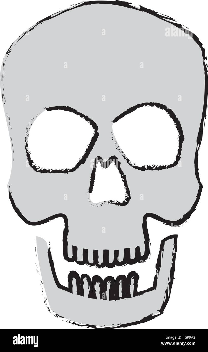 human skull male medical biology science vector illustration Stock ...