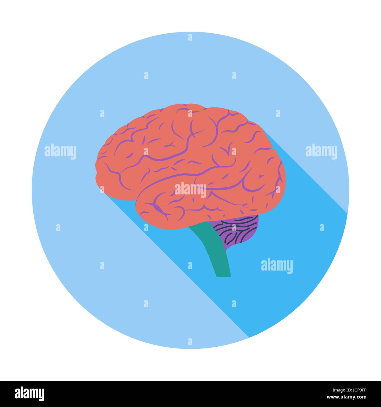 Vector illustration of a human brain. Single flat icon Stock Vector ...