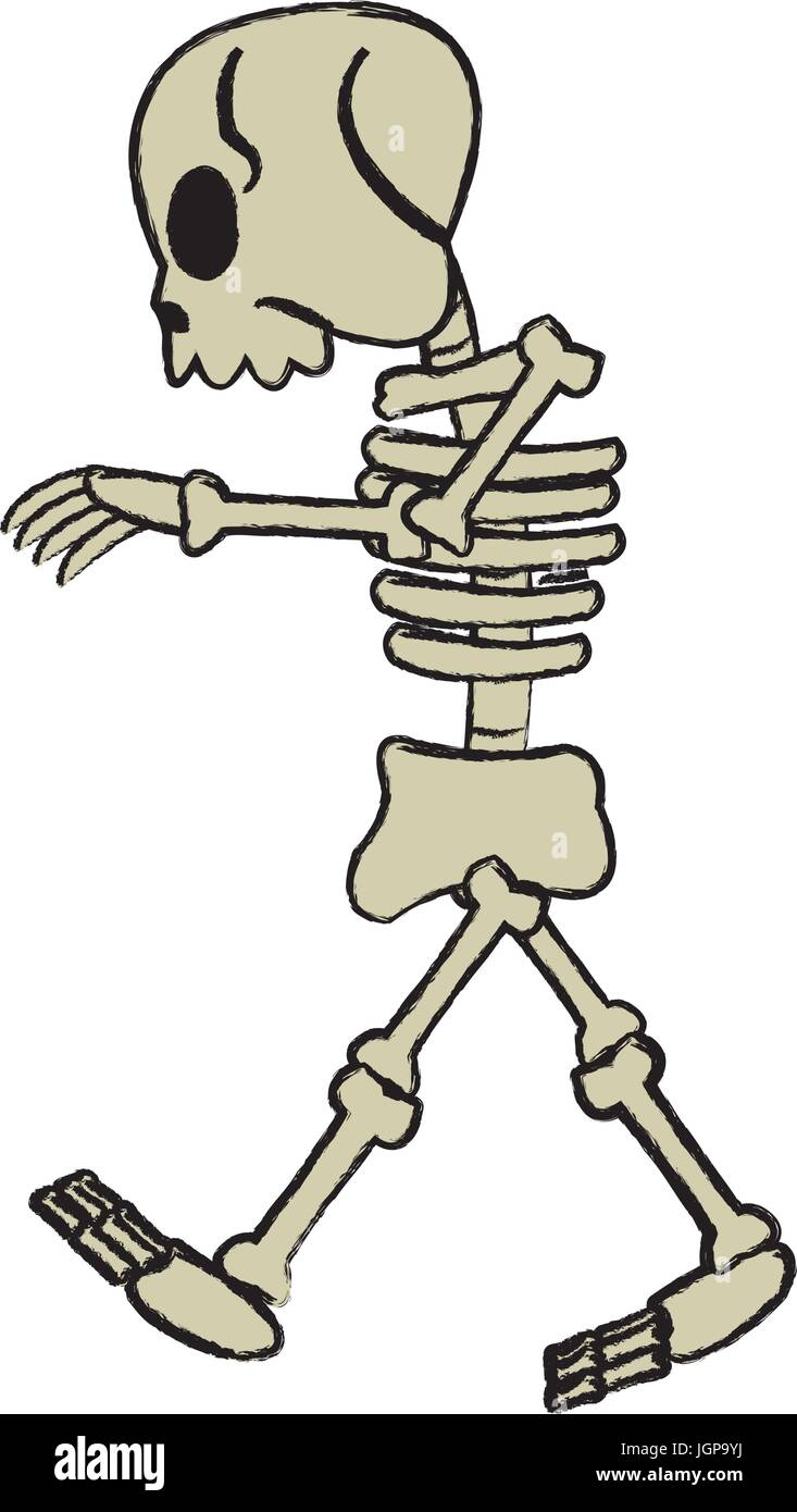 comic skeleton human walk character vector illustration Stock Vector ...