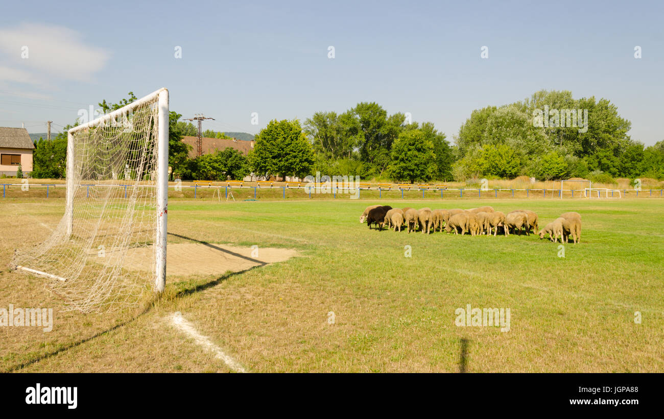 Grass with football hi-res stock photography and images - Alamy