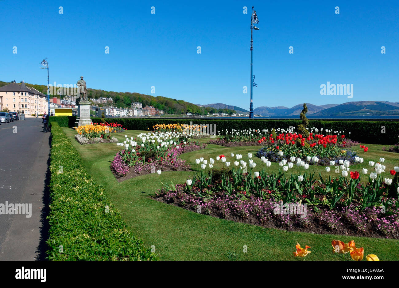 Rothesay palm trees hi-res stock photography and images - Alamy