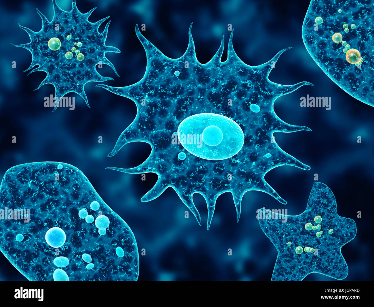 Amoebas on abstract blue background. 3d render Stock Photo - Alamy