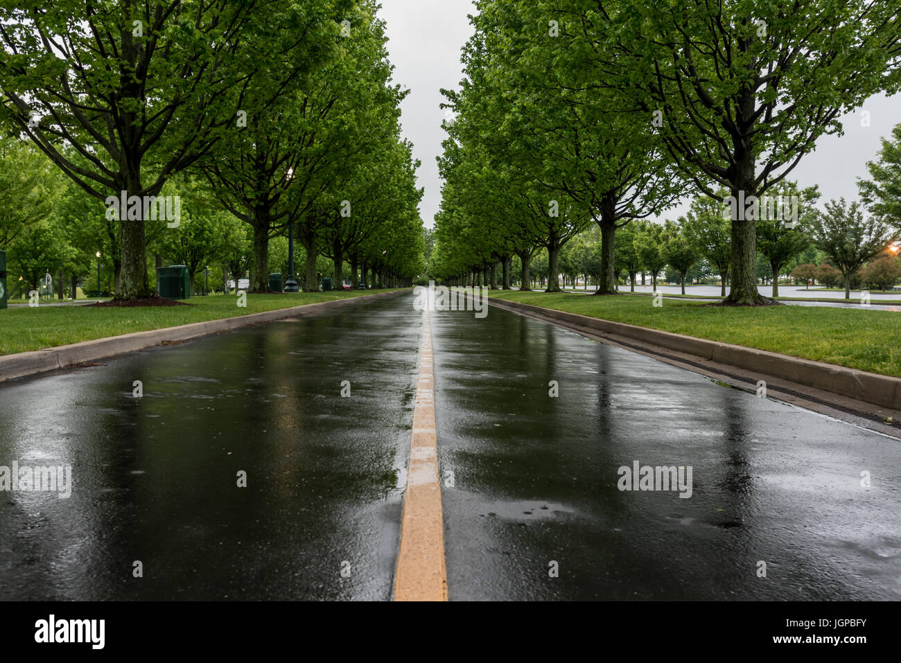 Wet Tree Lined Road in Spring on a rainy day Stock Photo - Alamy