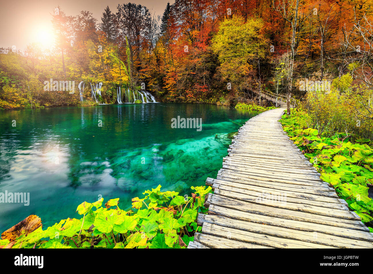 Amazing touristic wooden pathway in the colorful deep forest with clean ...