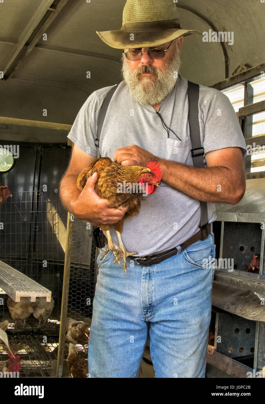 Man with hen hi-res stock photography and images - Alamy