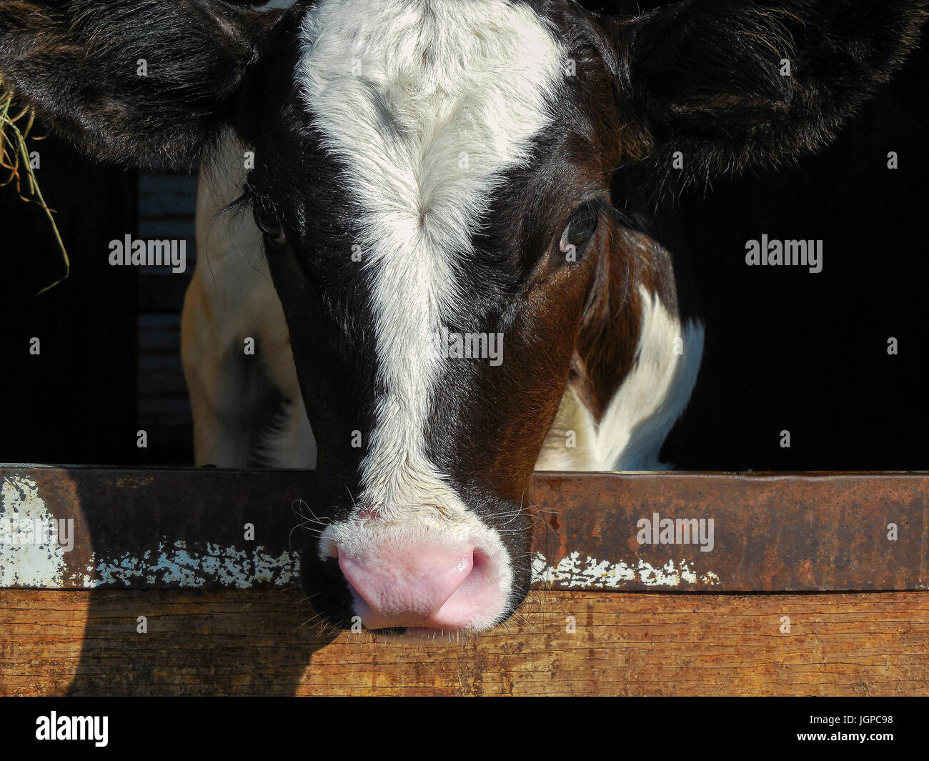 American farm land hi-res stock photography and images - Alamy