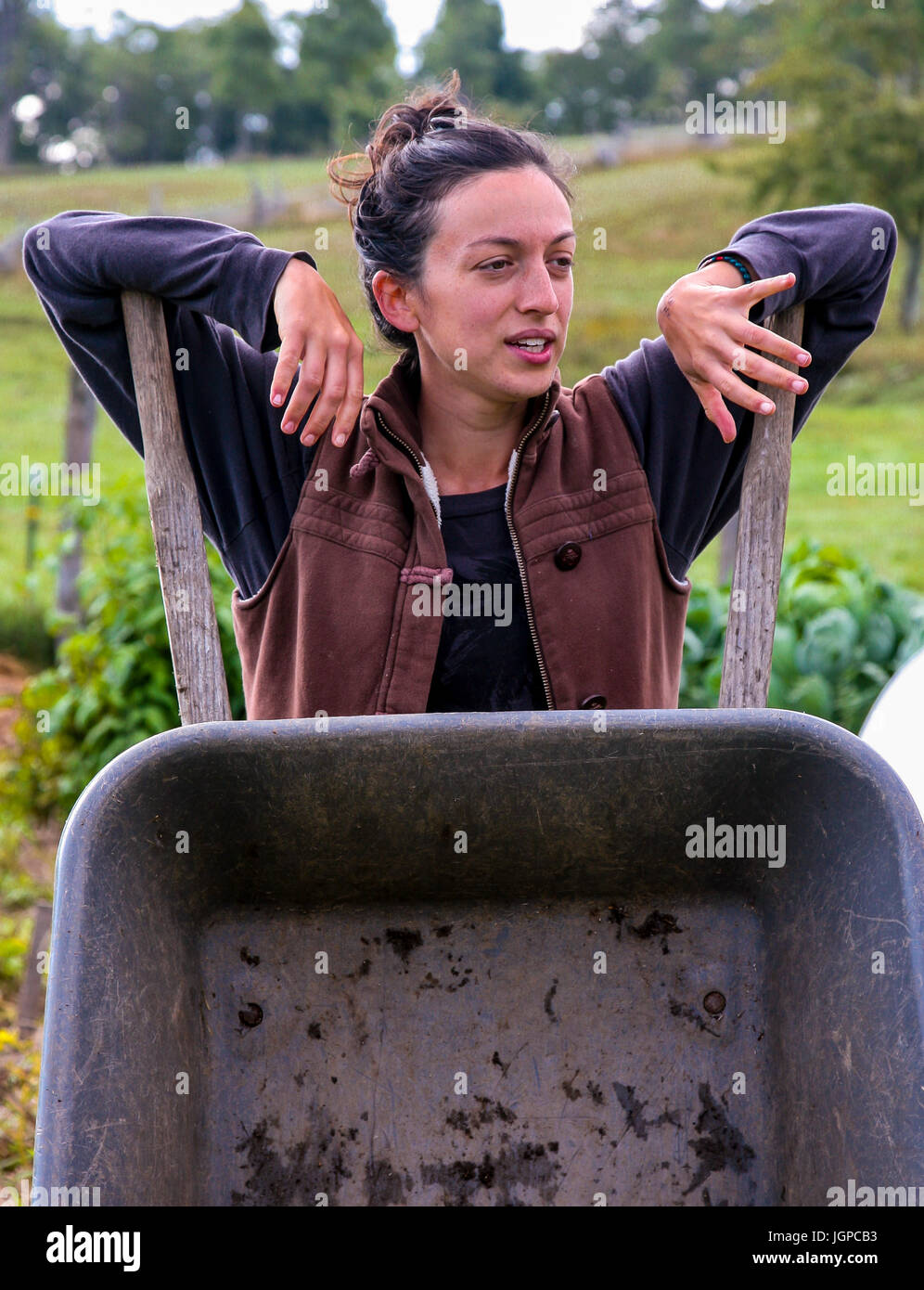 Farmer working in field Stock Photo - Alamy