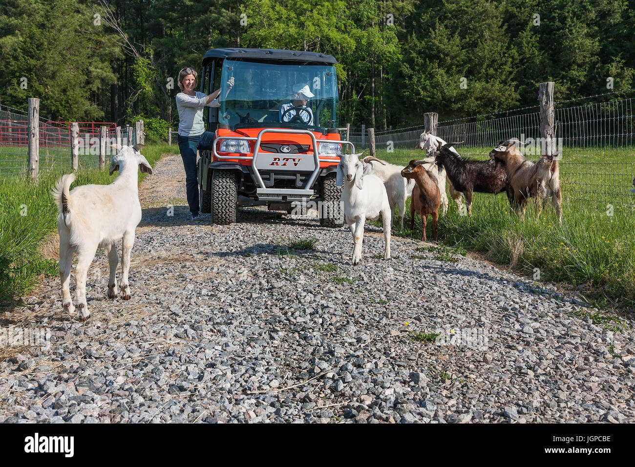 American farm life hi-res stock photography and images - Alamy