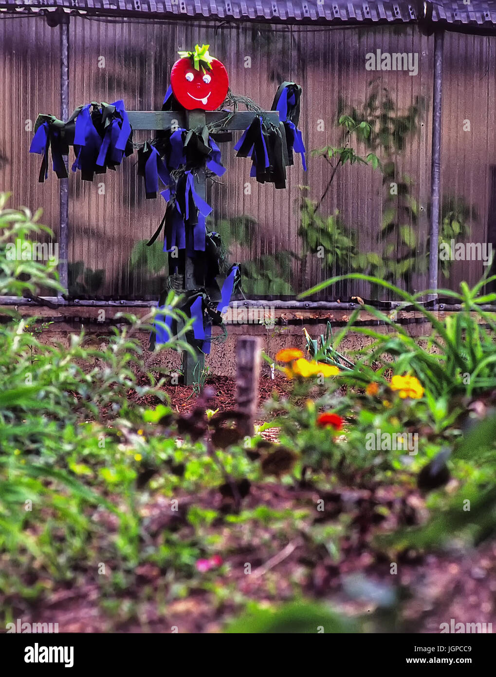 American scare hi-res stock photography and images - Alamy