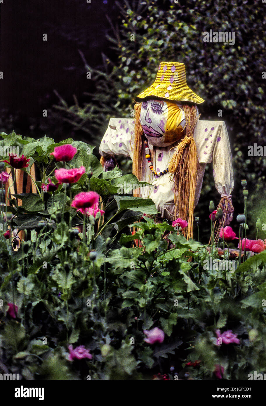 Scare crow in garden, colorful Stock Photo - Alamy