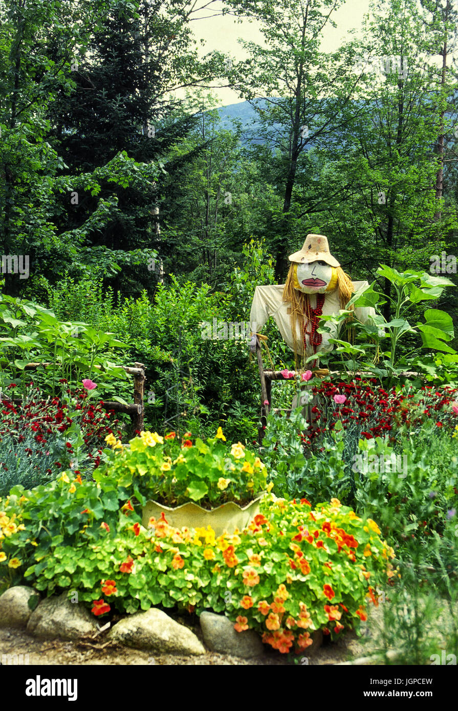 Scare crow in garden, colorful Stock Photo - Alamy