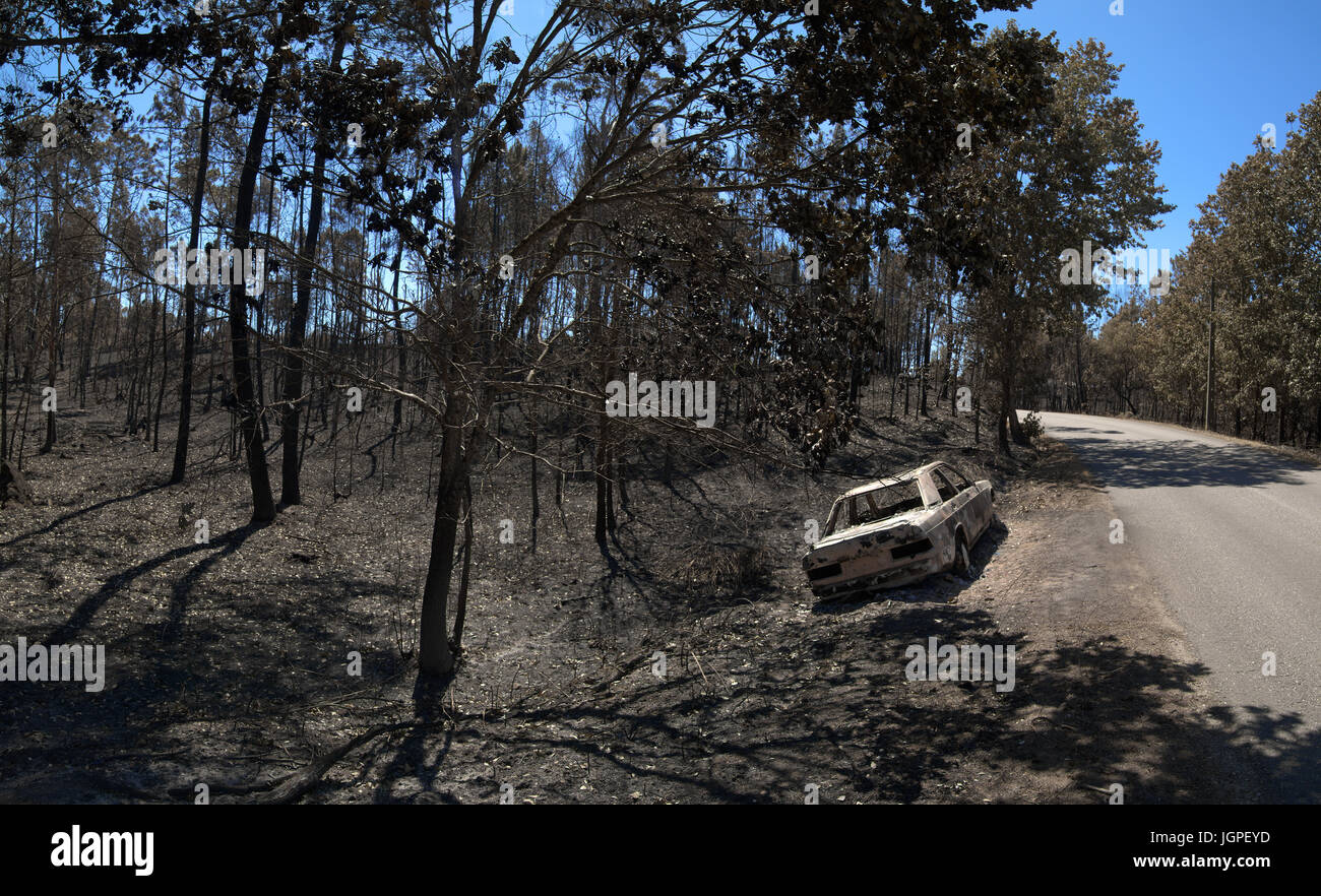 Burnt forest hi-res stock photography and images - Alamy
