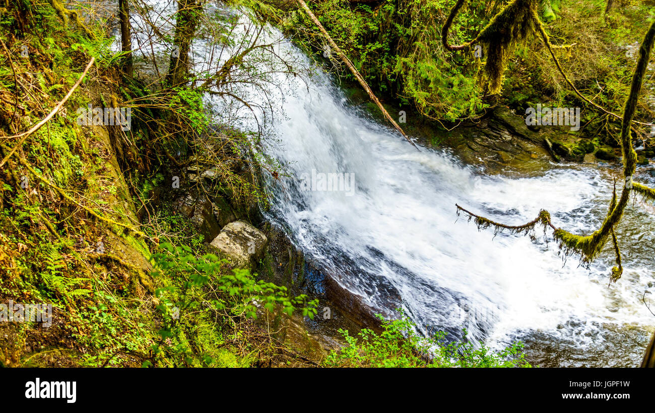 Cliff Falls in Kanaka Creek Regional Park near the town of Maple Ridge in British Columbia ...