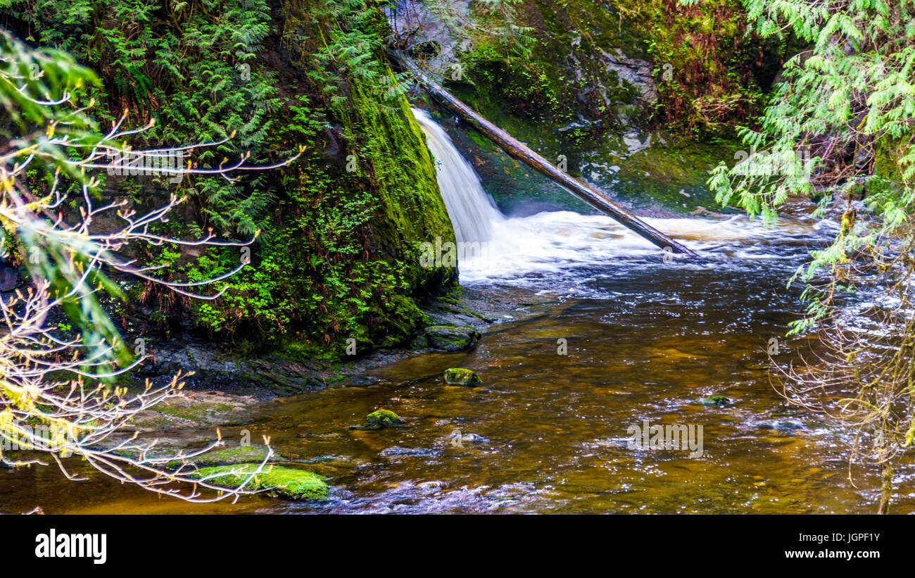 Cliff Falls in Kanaka Creek Regional Park near the town of Maple Ridge in British Columbia ...