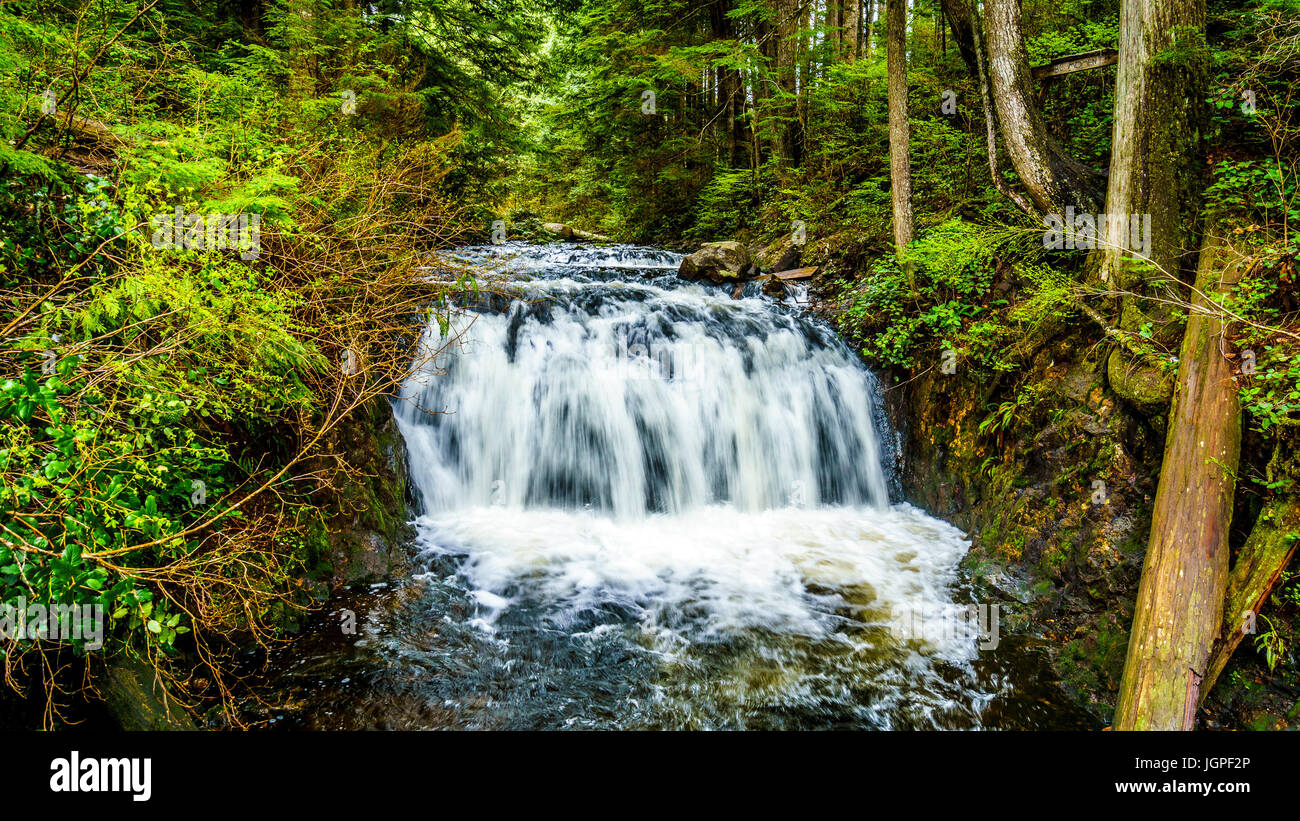 Upper Rolley Falls in the temperate rain forest of Rolley Lake ...
