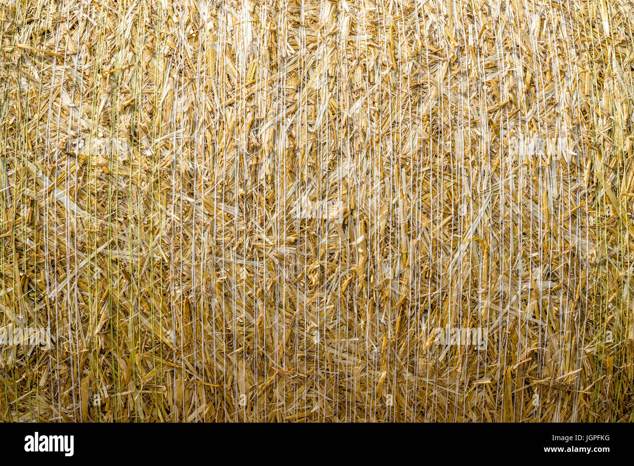 Artificialtexture hi-res stock photography and images - Alamy