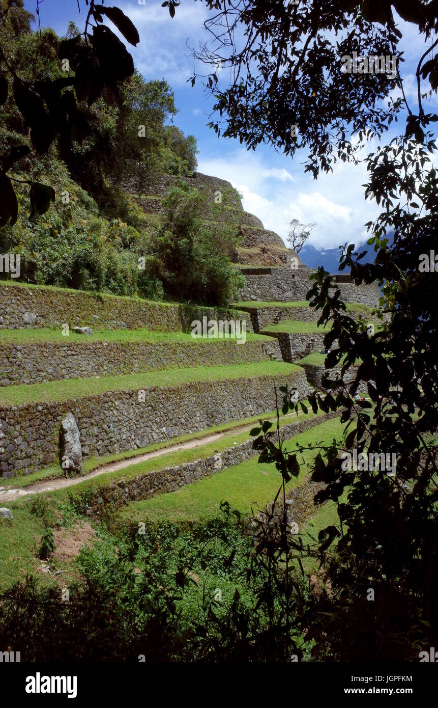 The Intipata ruins on the Inca Trail Stock Photo - Alamy