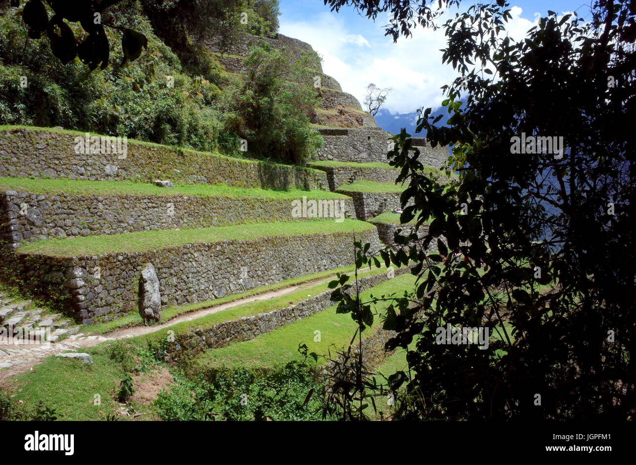 The Intipata ruins on the Inca Trail Stock Photo - Alamy