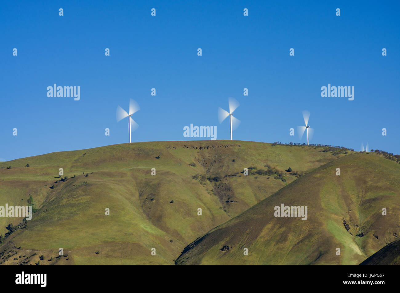 Wind turbines rotating to produce electricity in the Columbia River ...
